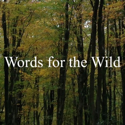 Words for the Wild – Poetry and short fiction rooted in our countryside