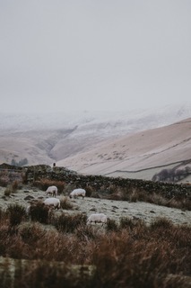 Cavity by Roger Bloor – Words for the Wild