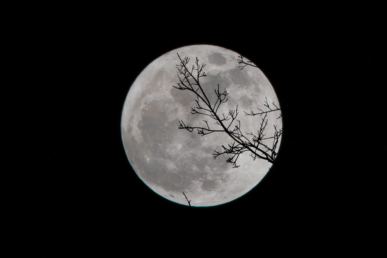 Dark WInter Skies moon – Words for the Wild