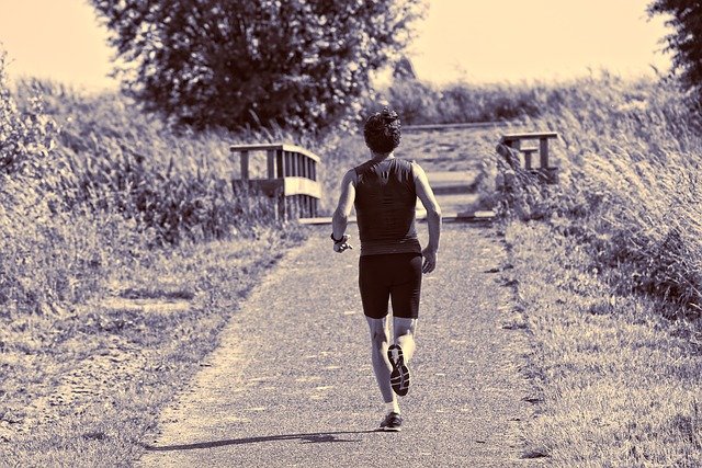 Marsh Running by Richard Williams – Words for the Wild